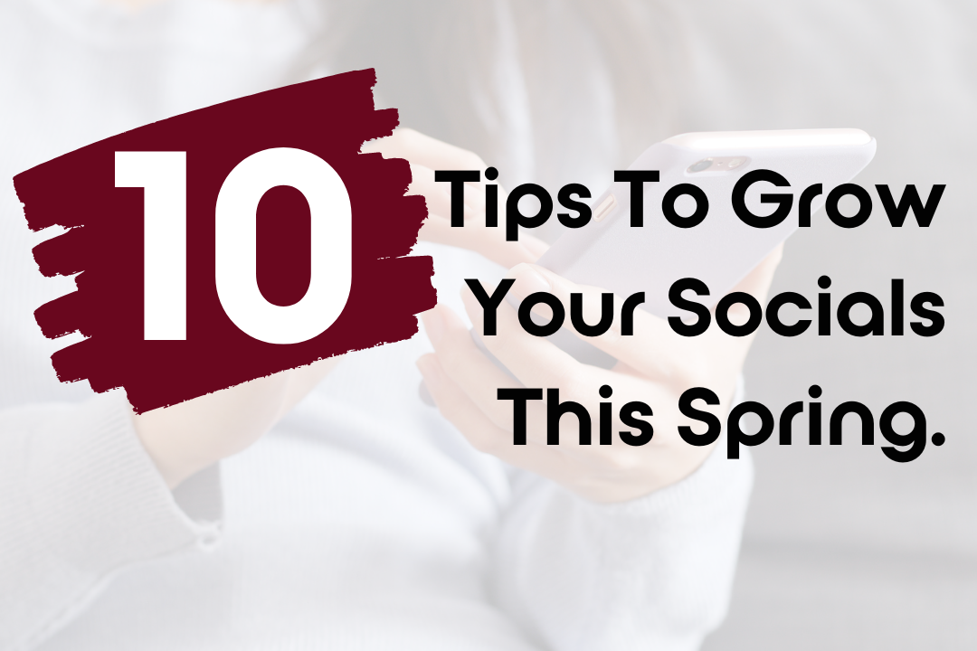 10 Tips To Grow Your Socials This Spring - Samurai Media